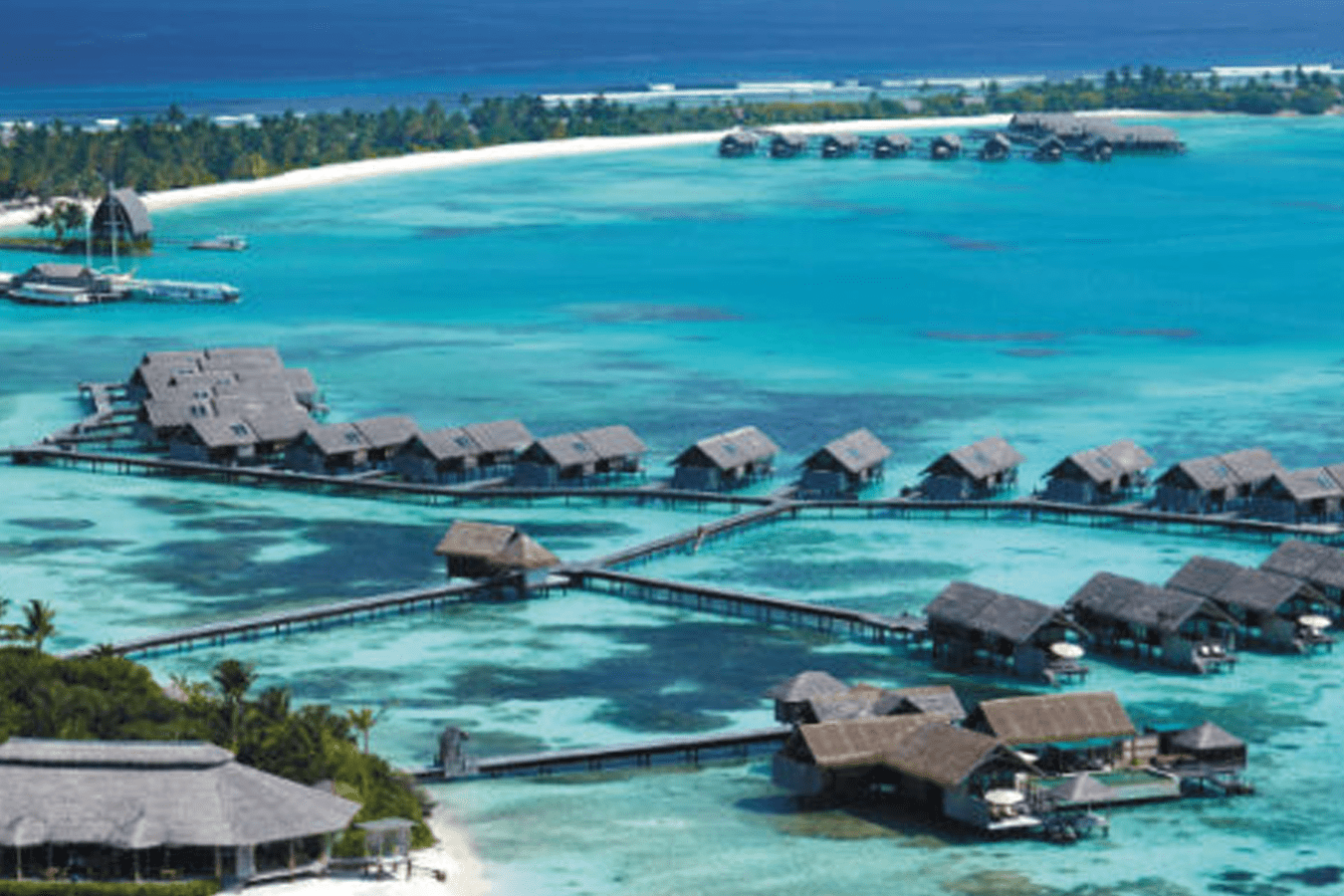 Maldives Gold Archives - ZO Magazine